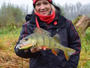 Baars - De Roofvisser