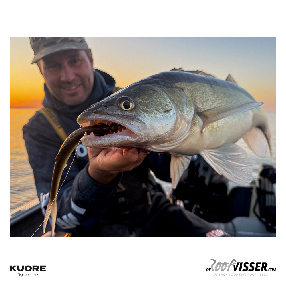 Kuore - Phantom - 20 cm - 2 st kopen? De Roofvisser